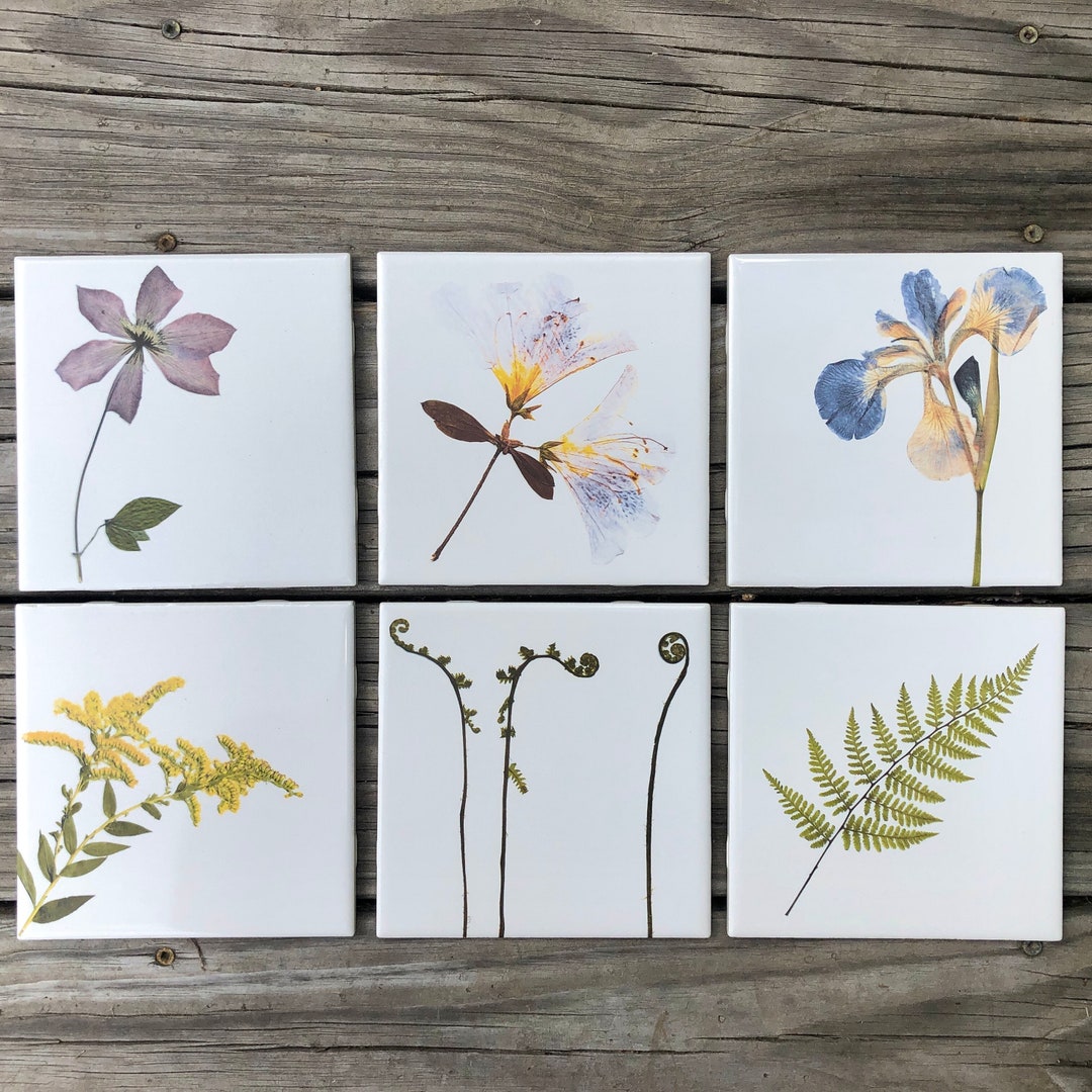 Set of 6 Garden Botanical Ceramic Tiles : Indoor and Outdoor Use ...