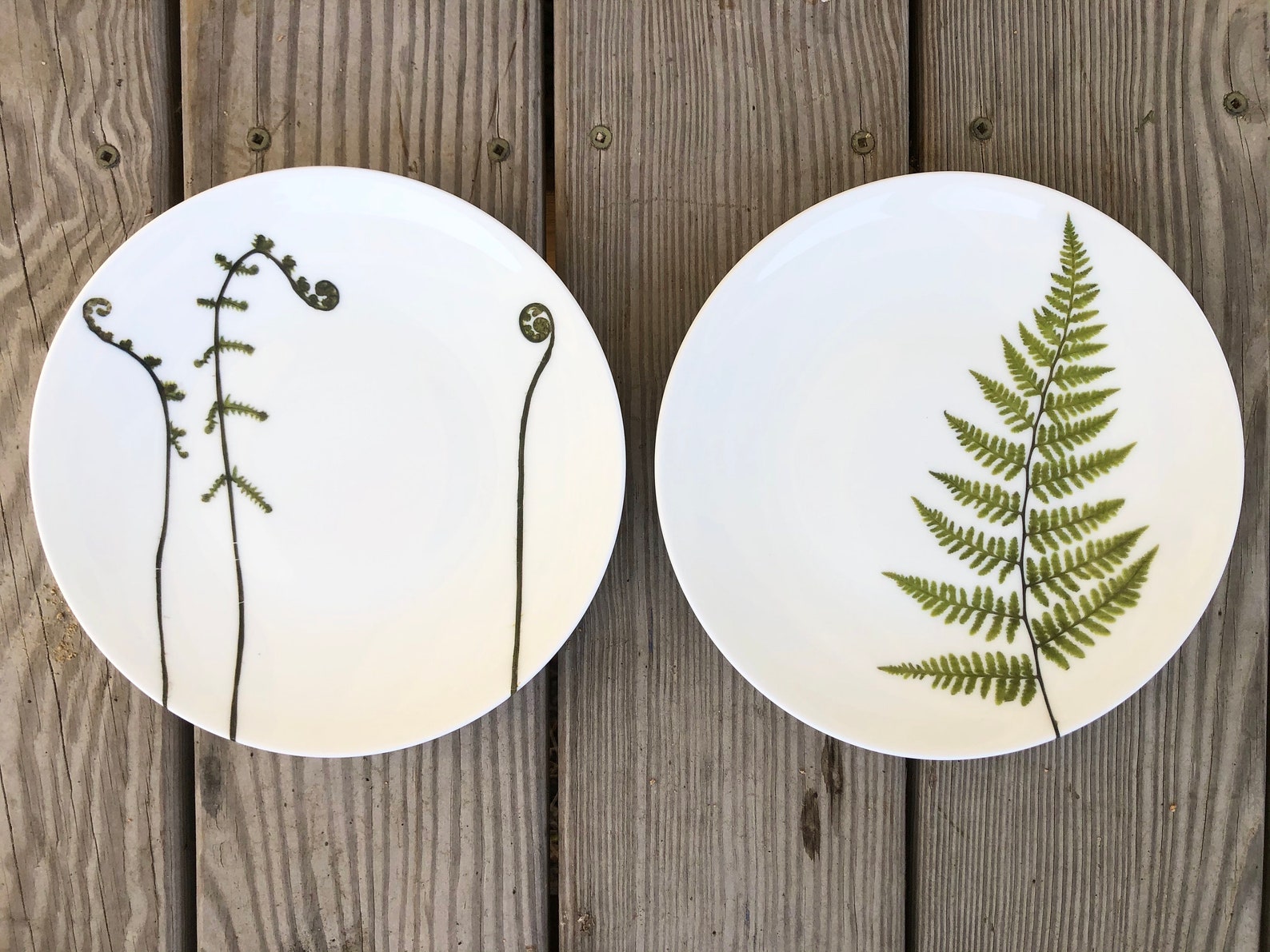 Fiddlehead Fern Porcelain Plates Pressed Botanical Dishes | Etsy