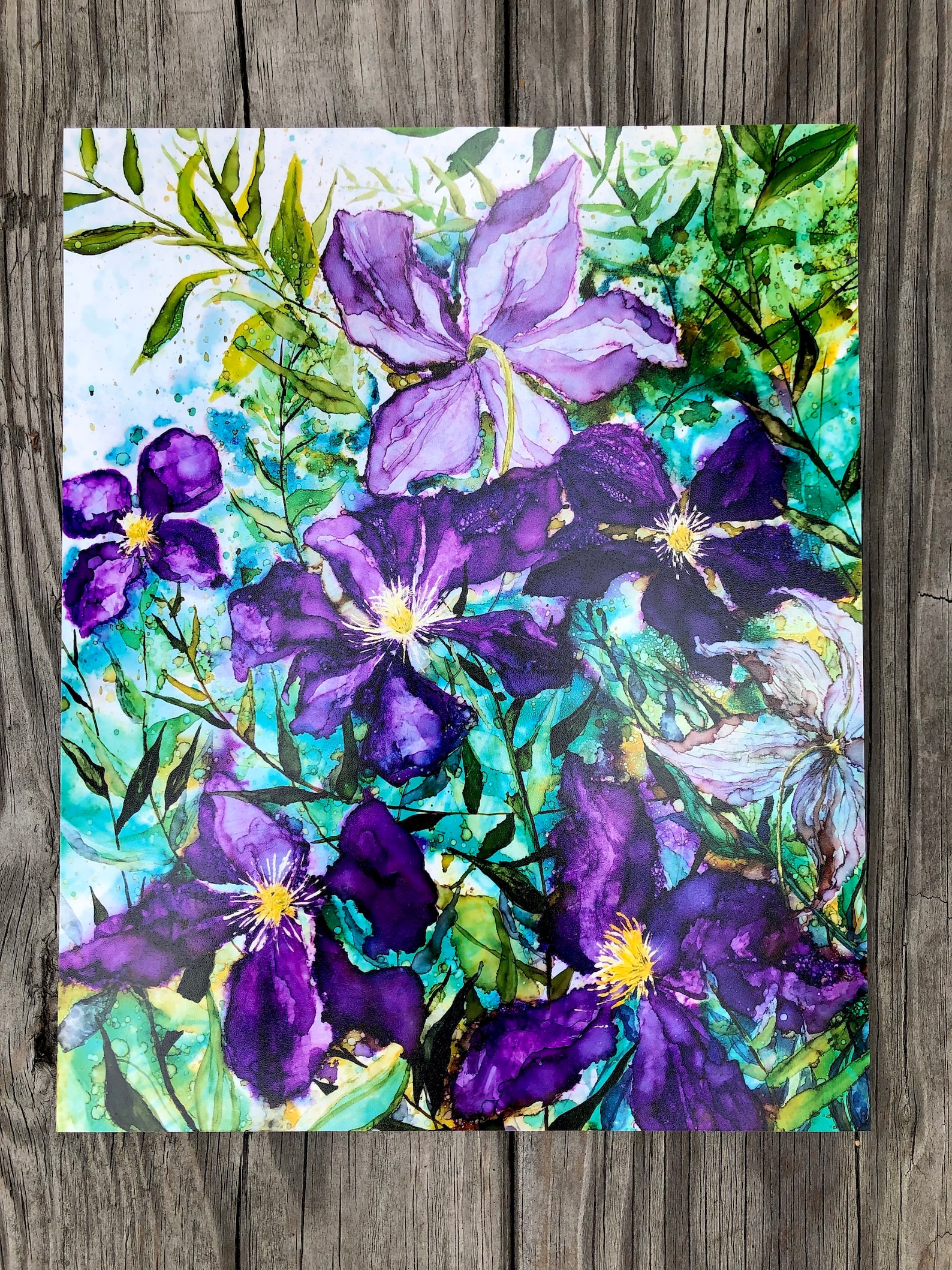 Purple Clematis : Fine Art Print - Etsy