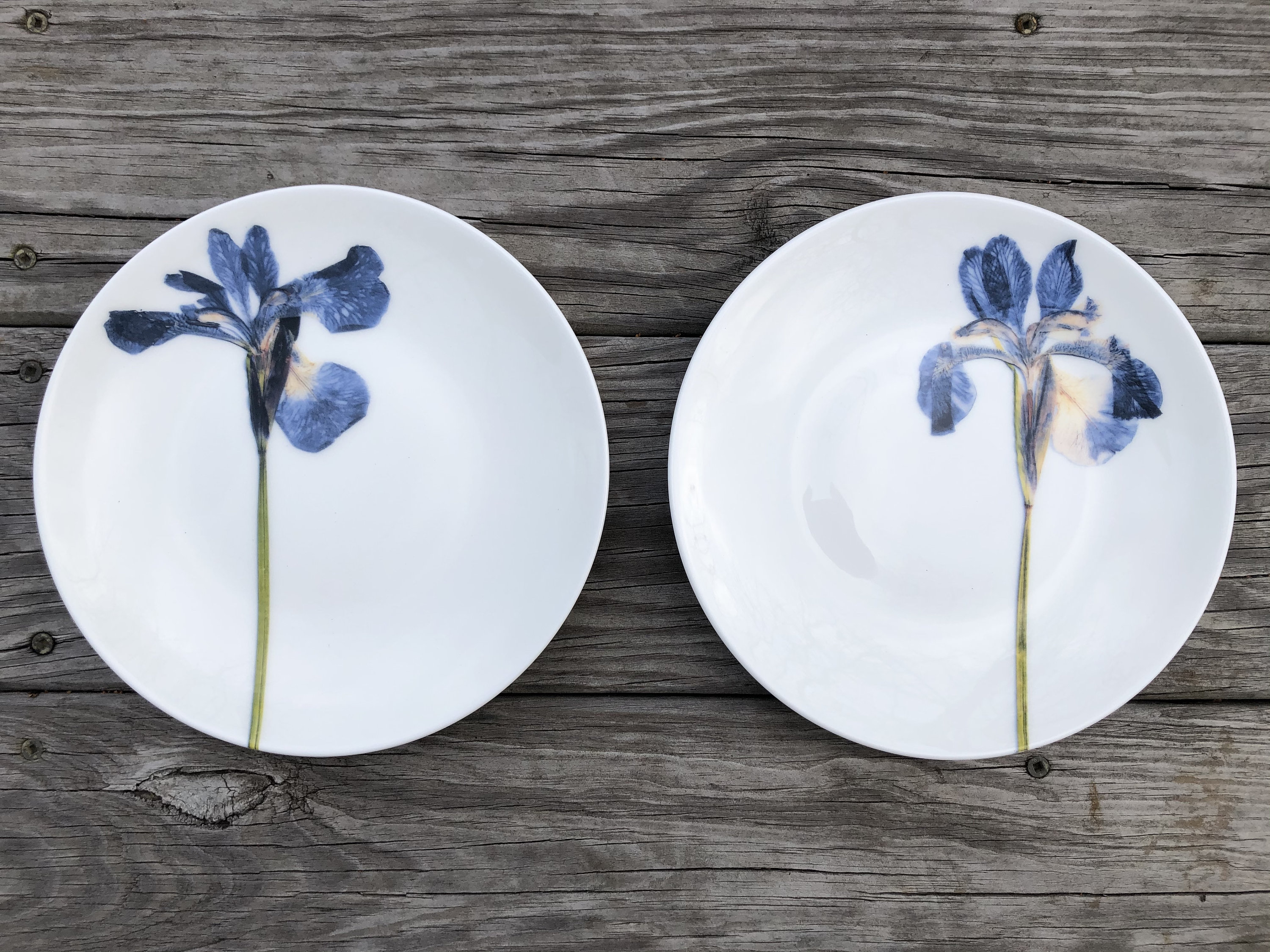 Pressed Blue Iris Plates Set of 2 Porcelain 8 Inch Plates | Etsy