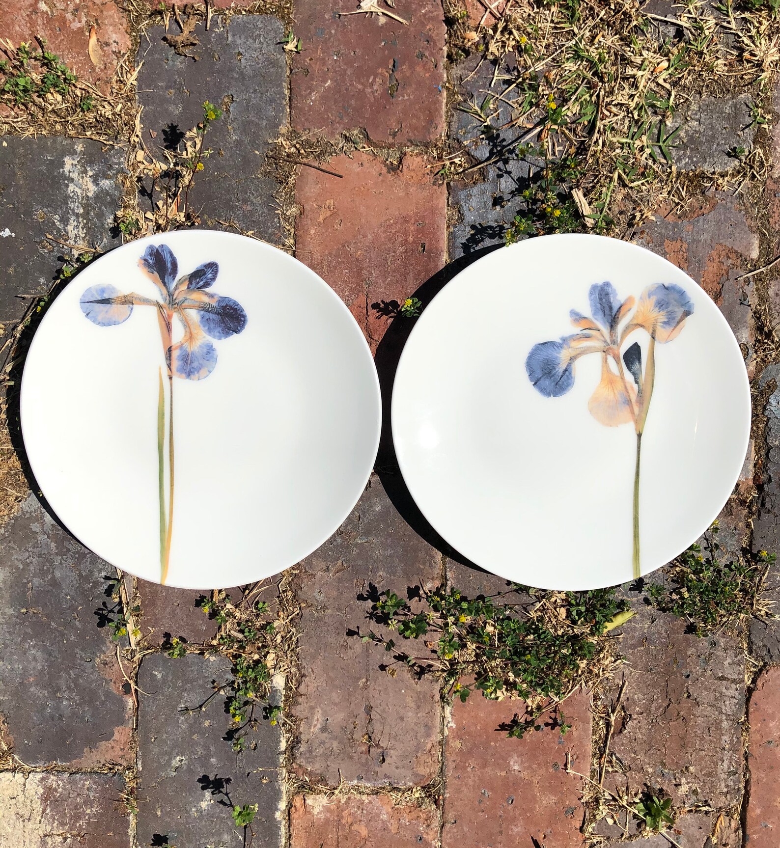 Pressed Flower Iris Plates Set of 2 Porcelain 8 Inch Dinner - Etsy