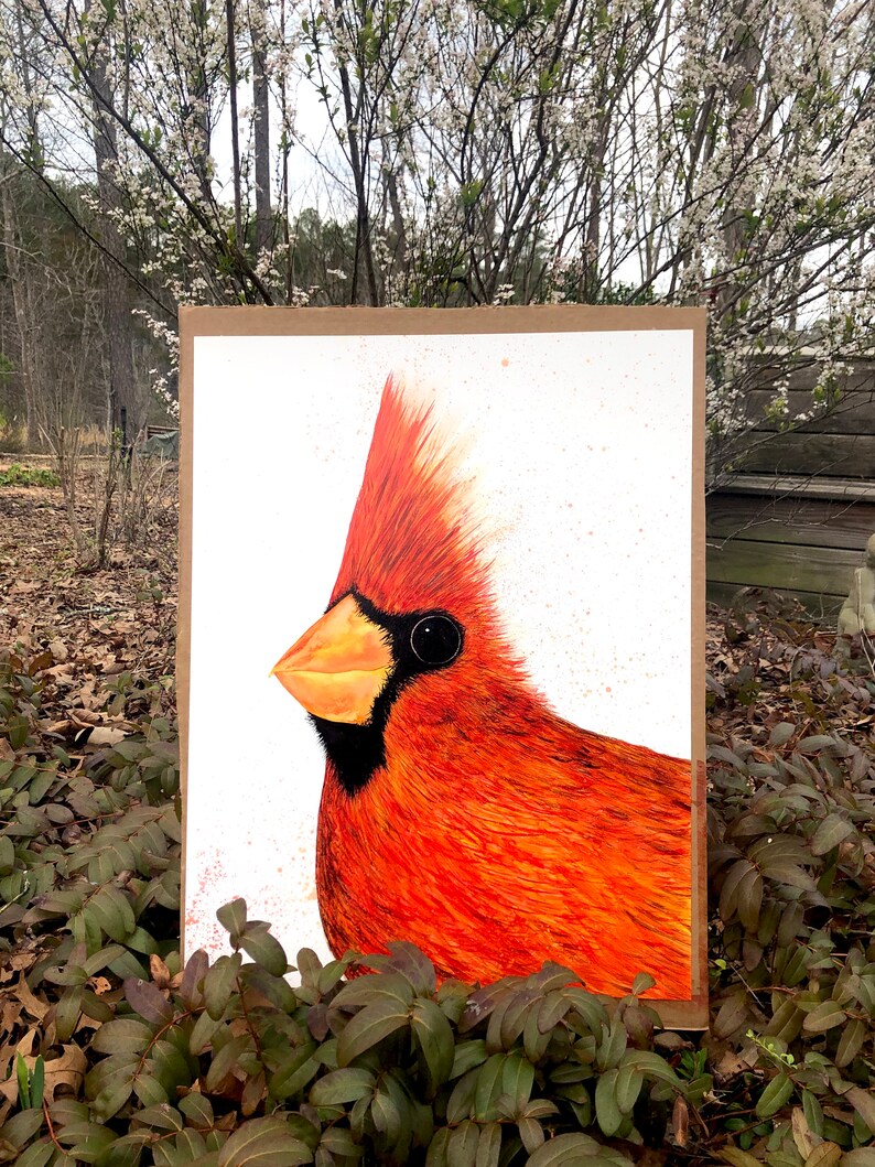 Big Red Cardinal: Fine Art Print | Etsy