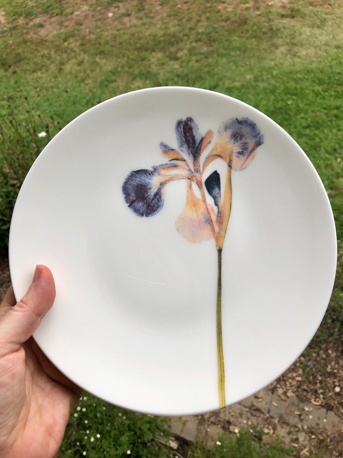 Pressed White Iris Plates Floral Decor Pressed Flower - Etsy