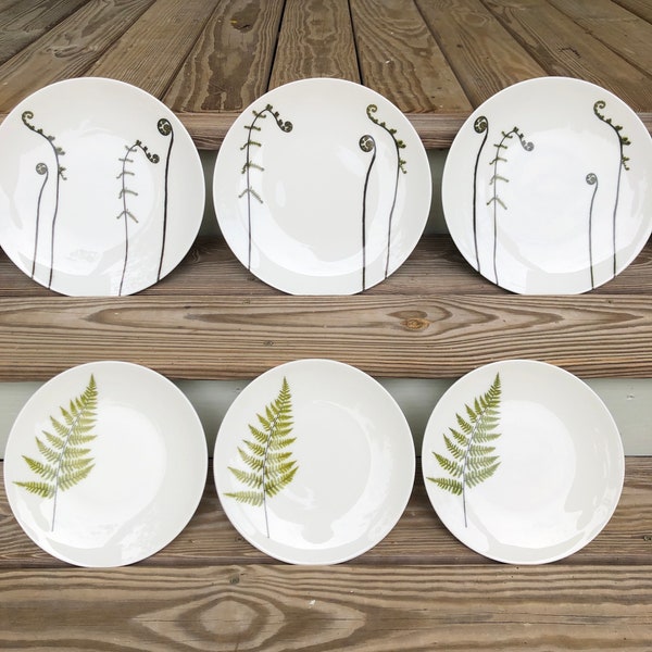 Fiddlehead Fern - Etsy