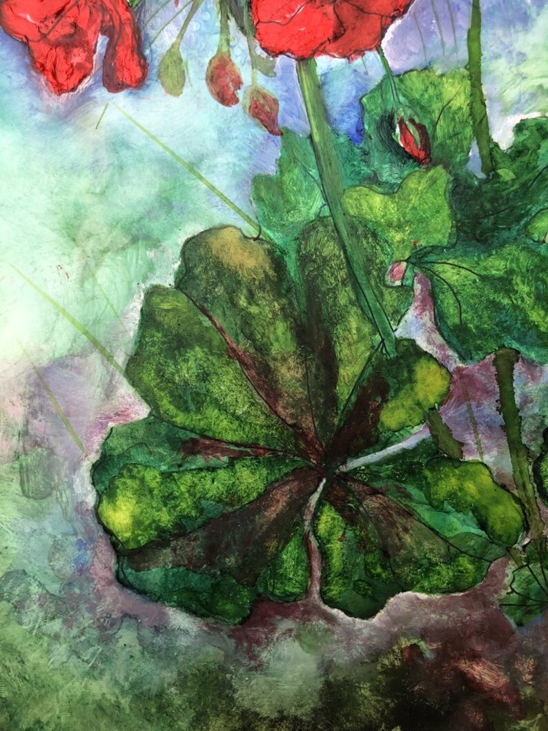 Geraniums : Fine Art Botanical Print - Etsy