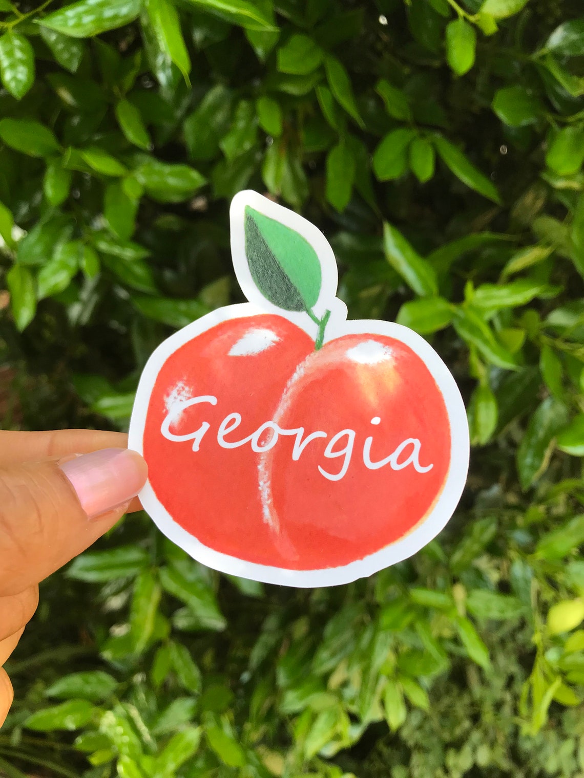 Georgia Peach Sticker, 3.25 X 2.50 Inches, Cellphone, Notebook, Planner ...