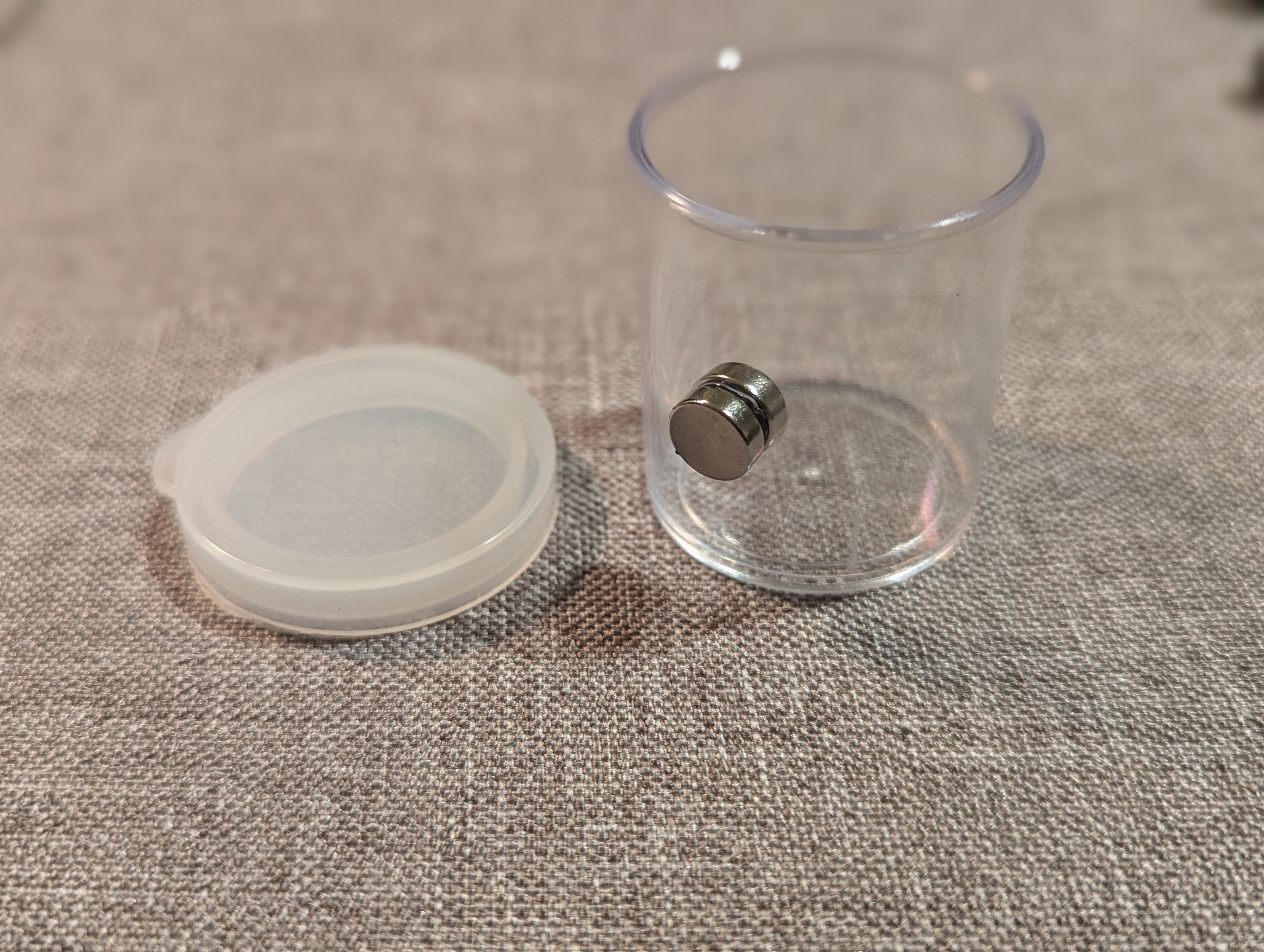 Jumping Spider Bioactive Starter Kit - Etsy