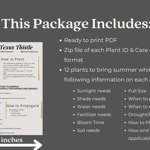 Wildflower Garden Plant ID & Care Cards - Etsy