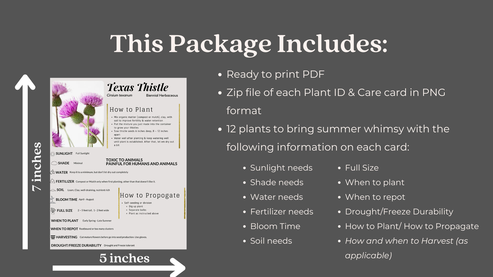 Wildflower Garden Plant ID & Care Cards - Etsy