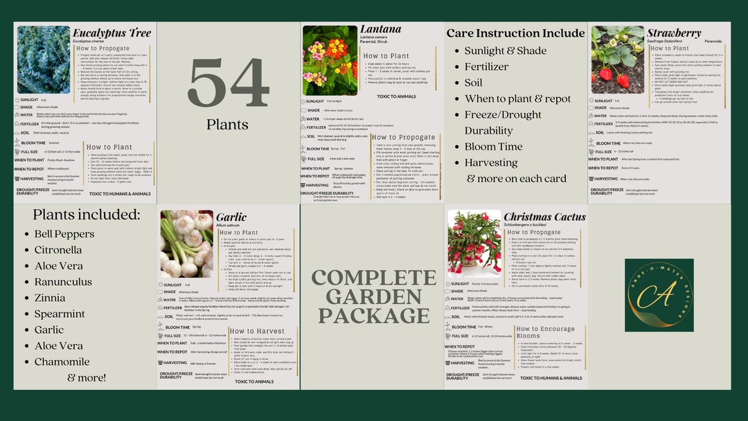 Complete Garden Package - Etsy