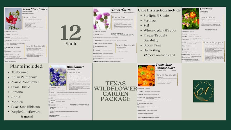 Wildflower Garden Plant ID & Care Cards - Etsy