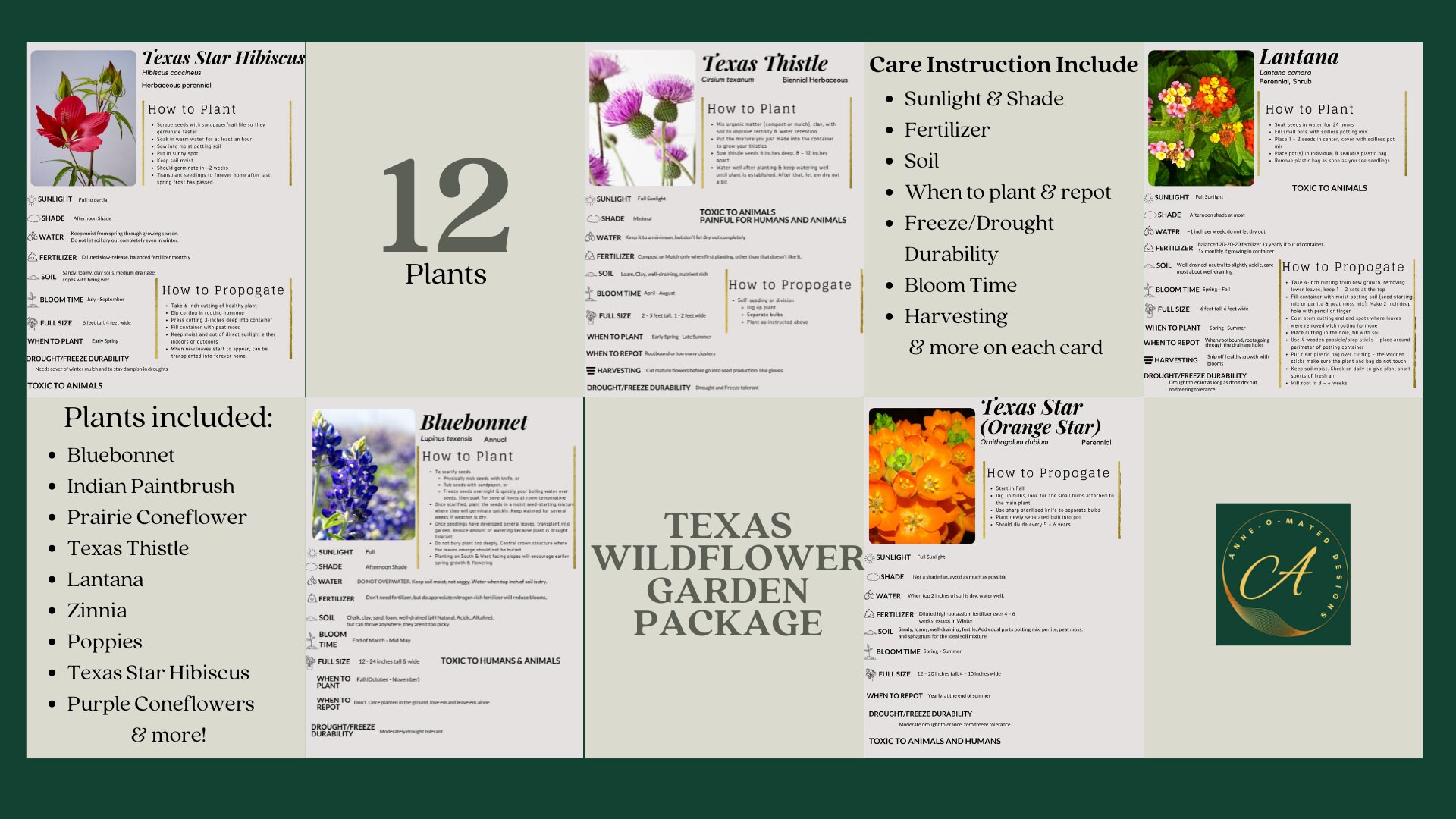 Wildflower Garden Plant ID & Care Cards - Etsy