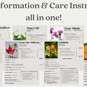 Wildflower Garden Plant ID & Care Cards - Etsy