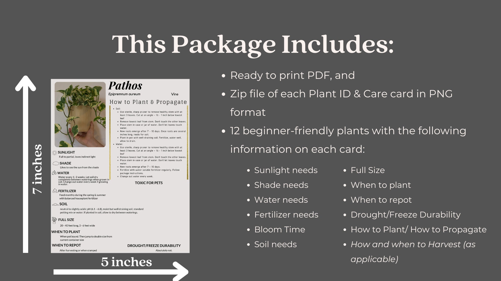 Beginner's Garden Plant ID & Care Cards - Etsy