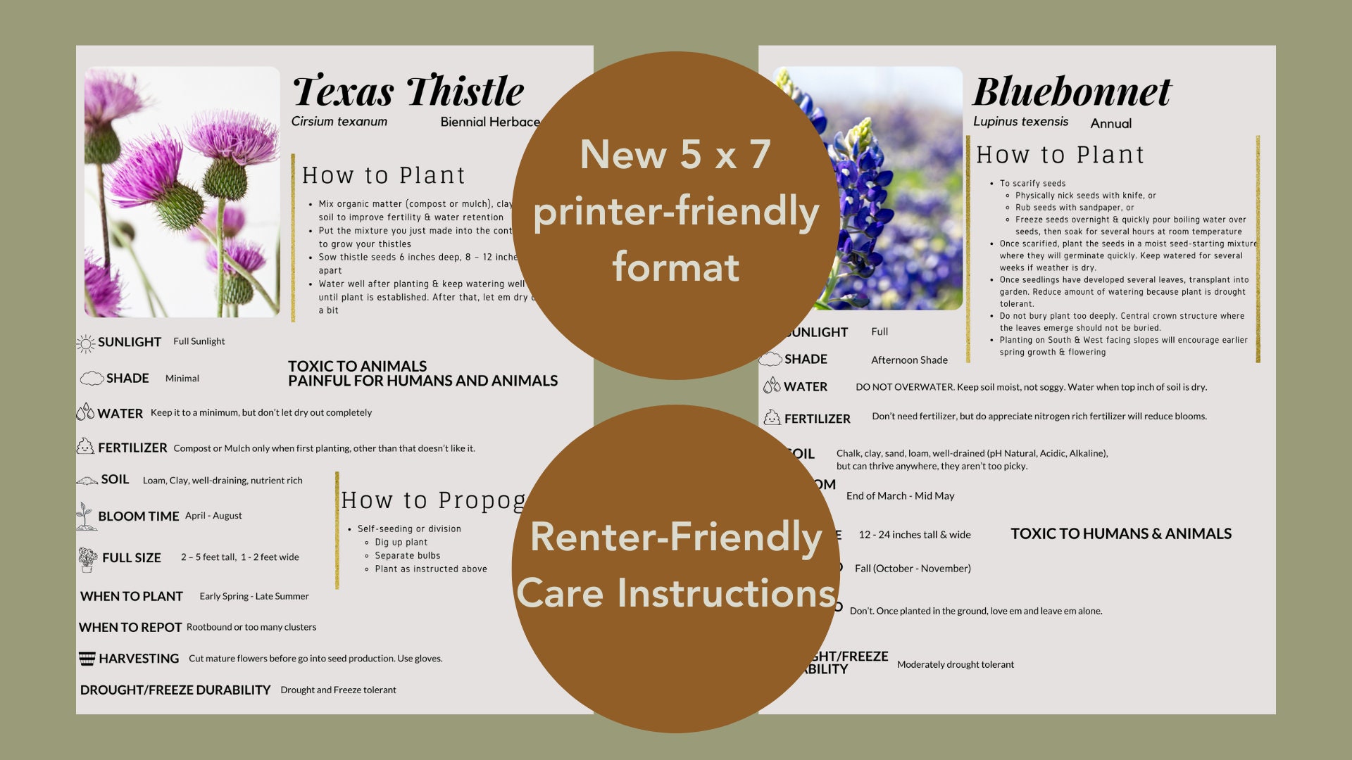 Wildflower Garden Plant ID & Care Cards - Etsy