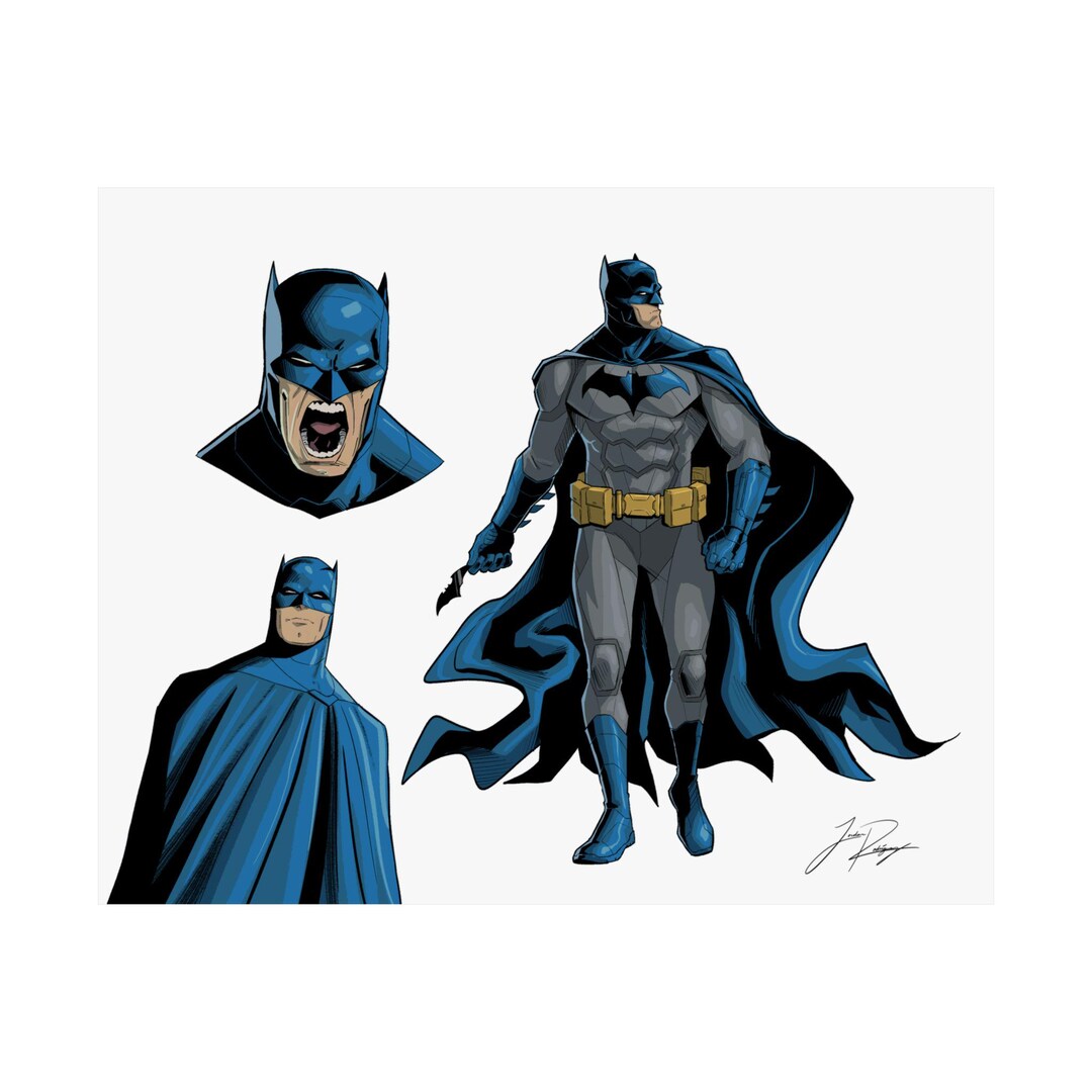 Batman Brave and Bold DCU Fan Concept, Matte Horizontal Posters ...