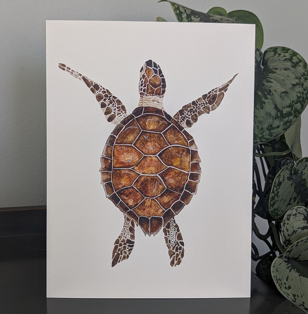 Sea Turtle Fine Art Print, Turtle Painting - Etsy