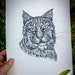 Bobcat: Hand-finished Print 8.5x11 - Etsy