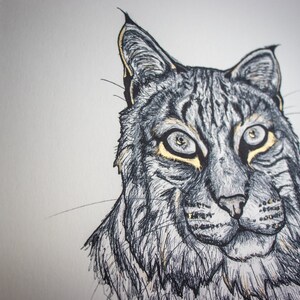 Bobcat: Hand-finished Print 8.5x11 - Etsy