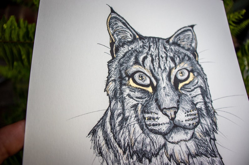 Bobcat: Hand-finished Print 8.5x11 - Etsy