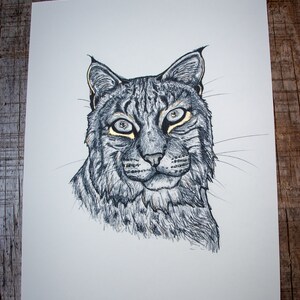 Bobcat: Hand-finished Print 8.5x11 - Etsy