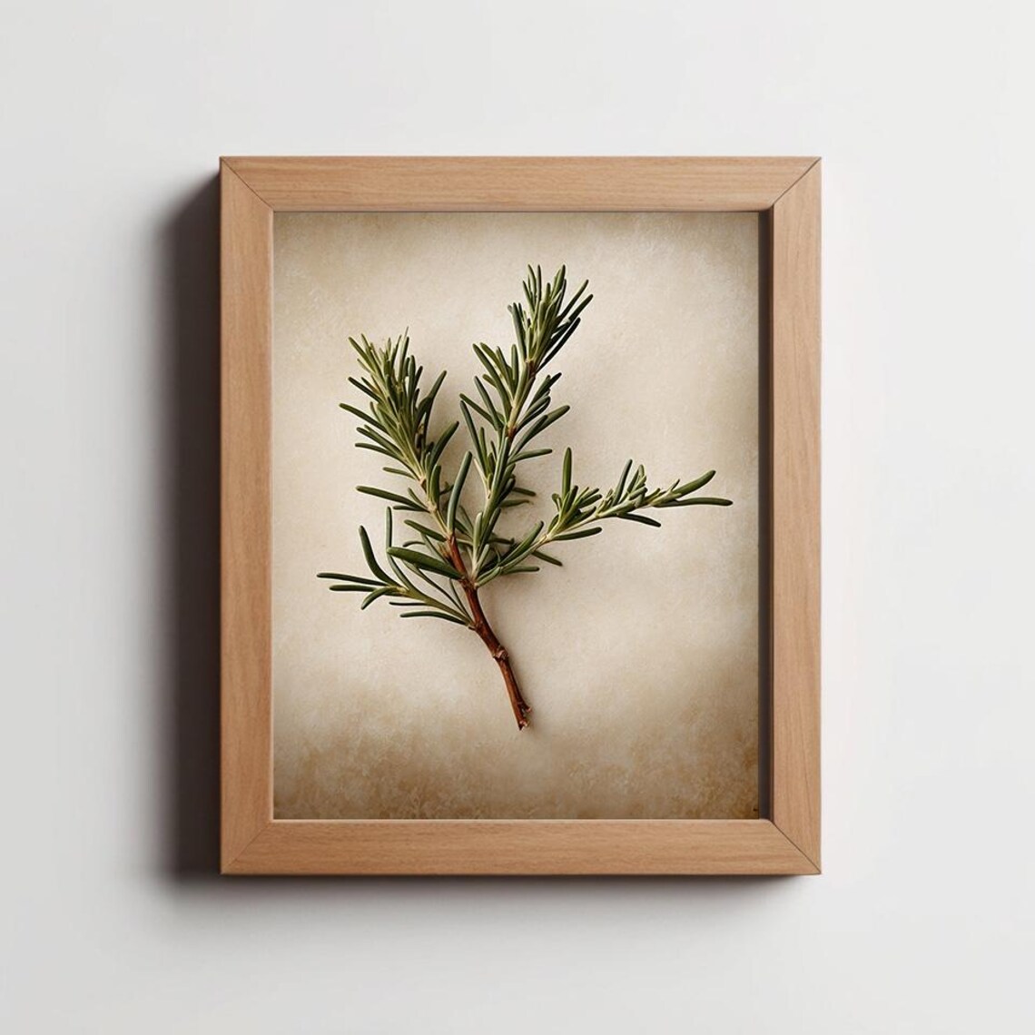 Rosemary Art - Botanical Art - Herb Garden Decor - Wall Art for Kitchen ...