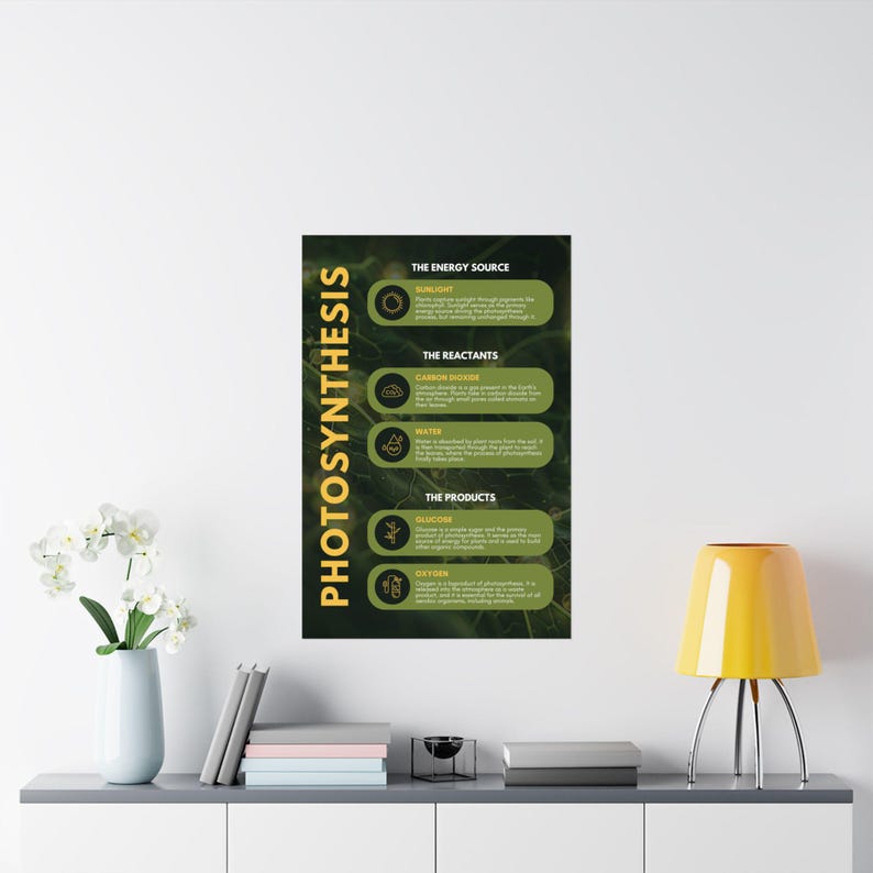 Photosynthesis Education Poster, Wall Art for Classroom Decor, Science ...