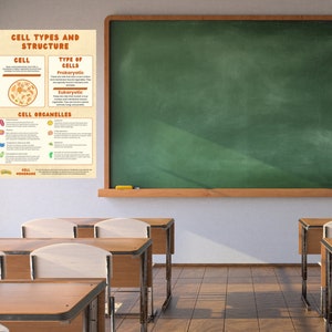 Digital Infographic Poster Cell Types and Structures Instant Download ...