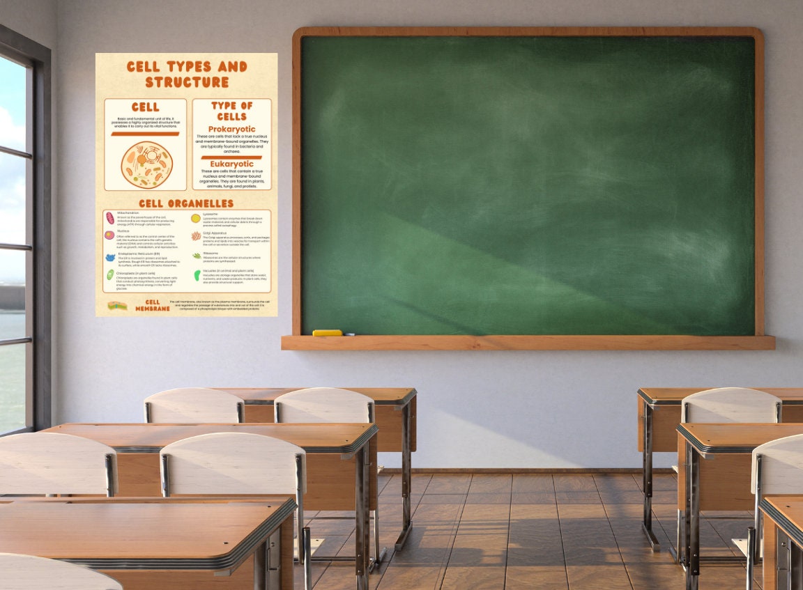 Digital Infographic Poster Cell Types and Structures Instant Download ...