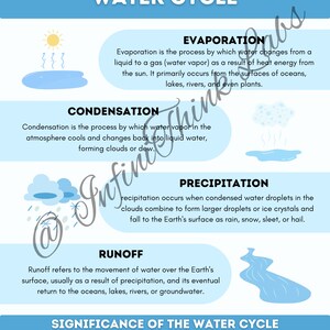 Digital Infographic Poster Water Cycle Instant Download - Etsy
