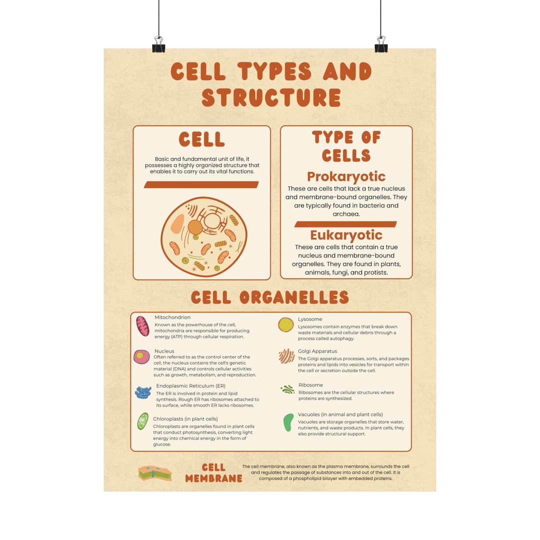 Educational Cell Types Poster, Science Poster for Classroom Decor ...