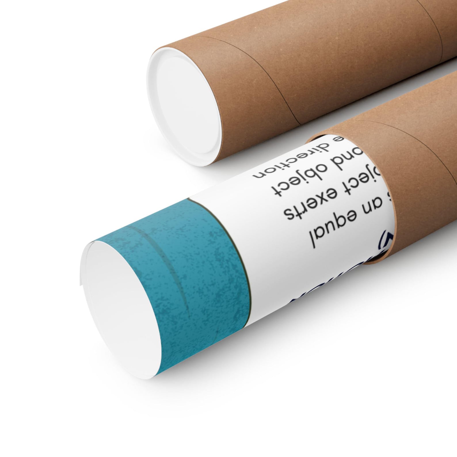 Newton's Laws of Motion Educational Poster, Science Wall Art, Classroom ...