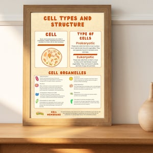 Digital Infographic Poster Cell Types and Structures Instant Download ...