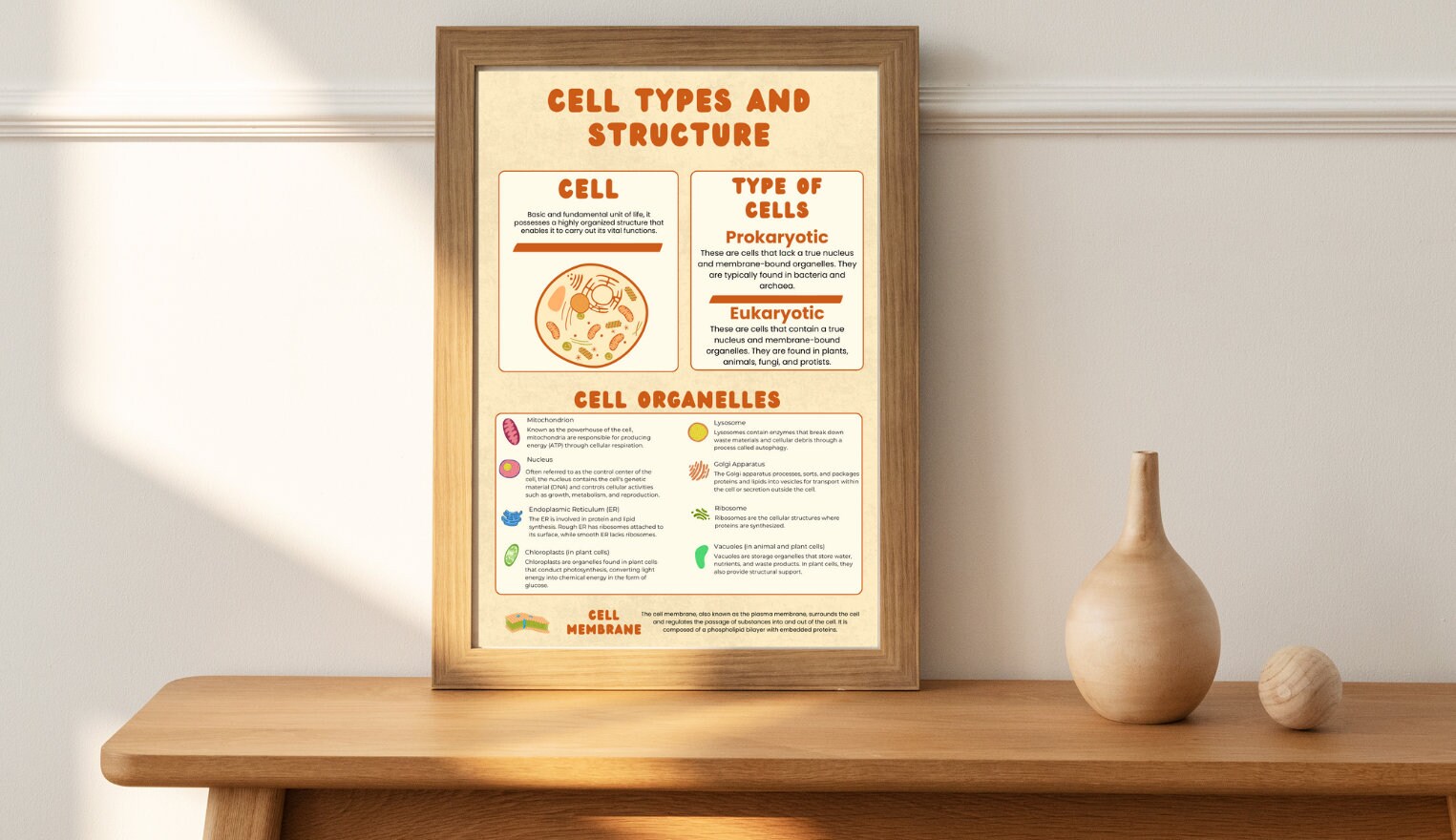 Digital Infographic Poster Cell Types and Structures Instant Download ...