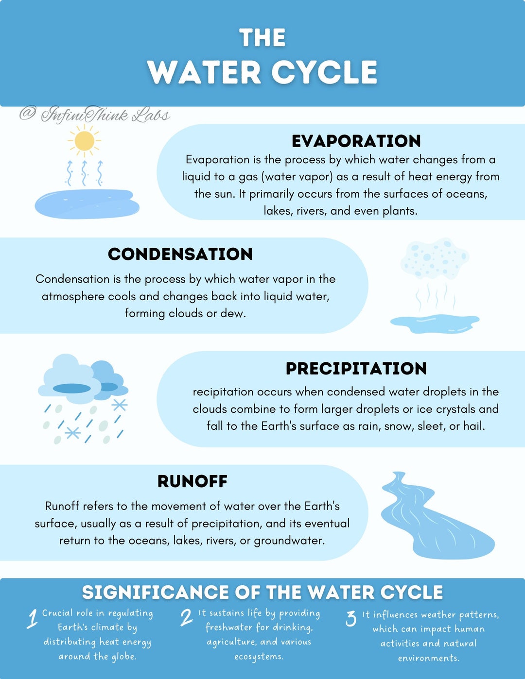 Digital Infographic Poster Water Cycle Instant Download - Etsy