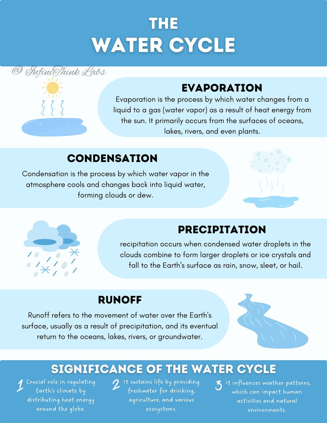 Digital Infographic Poster Water Cycle Instant Download - Etsy