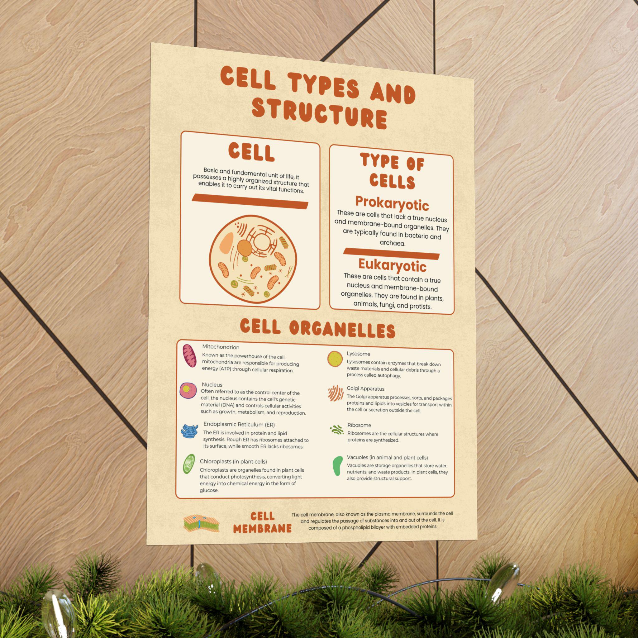 Educational Cell Types Poster, Science Poster for Classroom Decor ...
