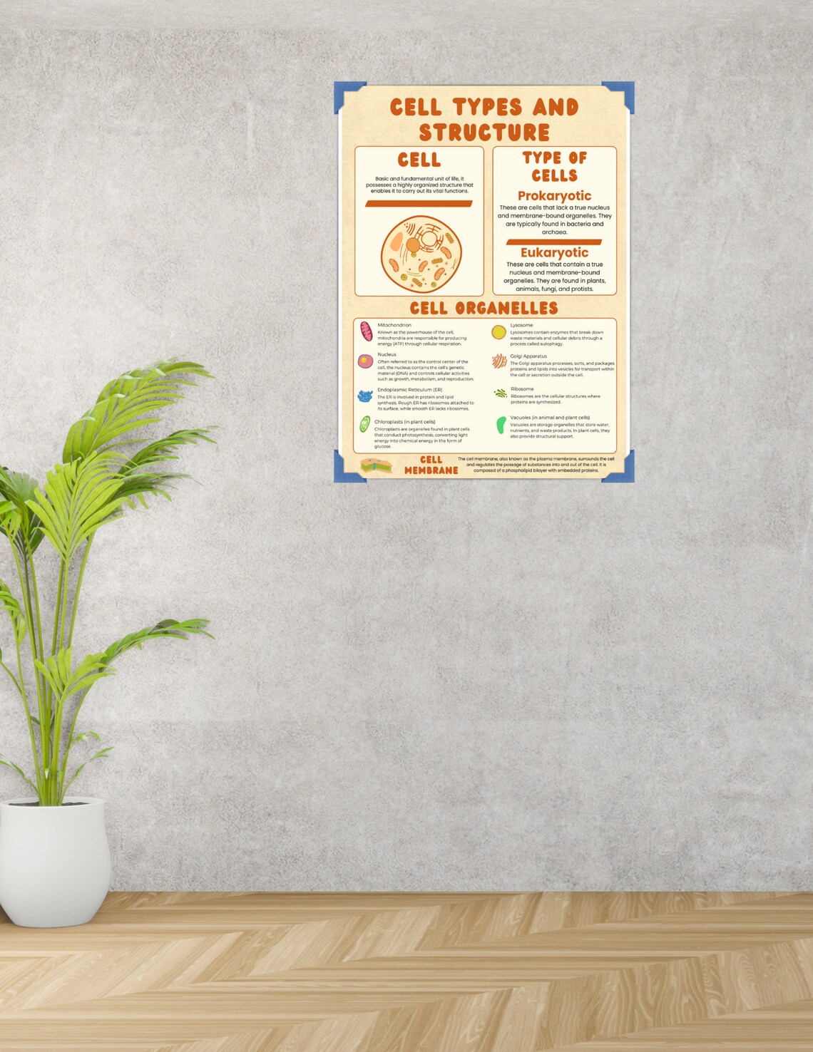 Digital Infographic Poster Cell Types and Structures Instant Download ...