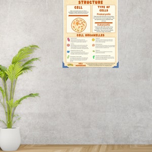 Digital Infographic Poster Cell Types and Structures Instant Download ...