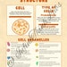 Digital Infographic Poster Cell Types and Structures Instant Download ...
