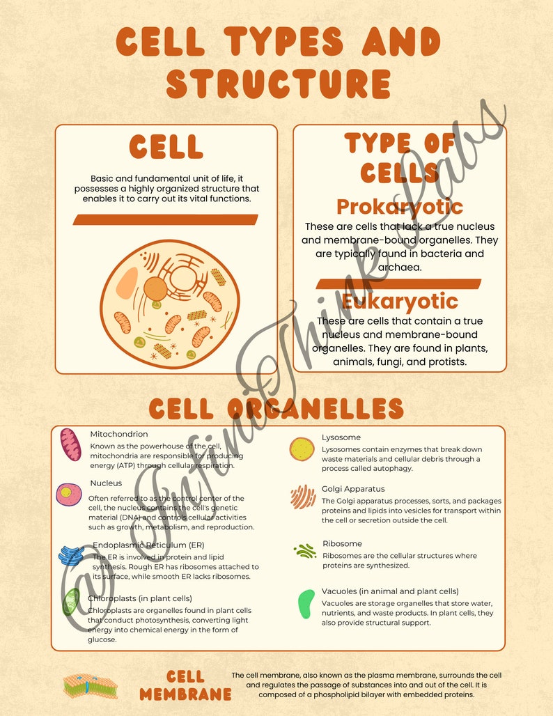 Digital Infographic Poster Cell Types and Structures Instant Download ...