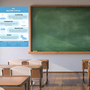 Digital Infographic Poster Water Cycle Instant Download - Etsy