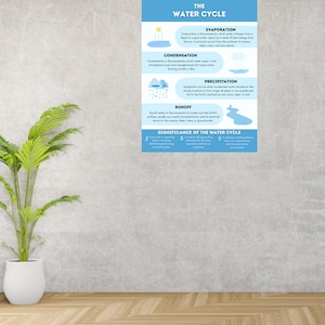 Digital Infographic Poster Water Cycle Instant Download - Etsy