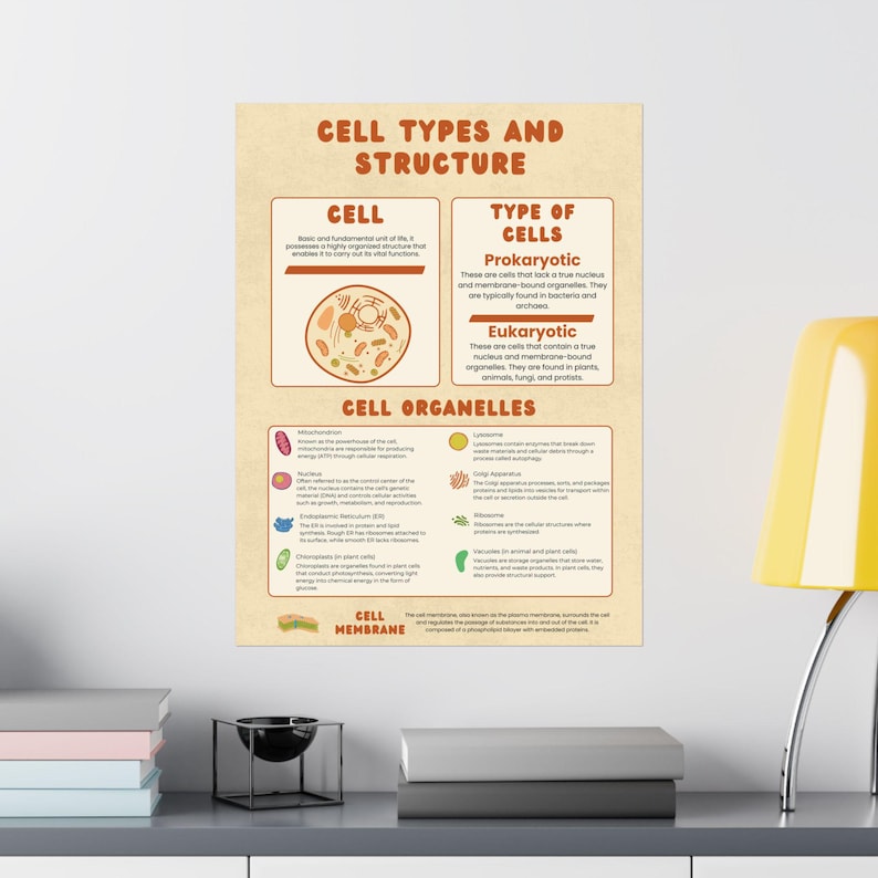 Educational Cell Types Poster, Science Poster for Classroom Decor ...