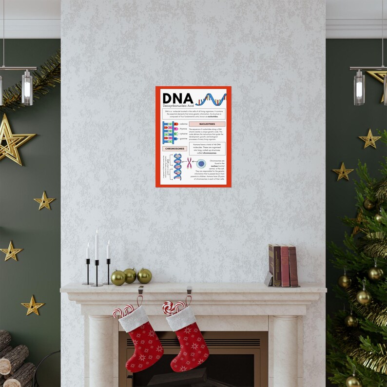Educational DNA Biology Infographic Matte Poster 18 X 24 - Ideal Class ...