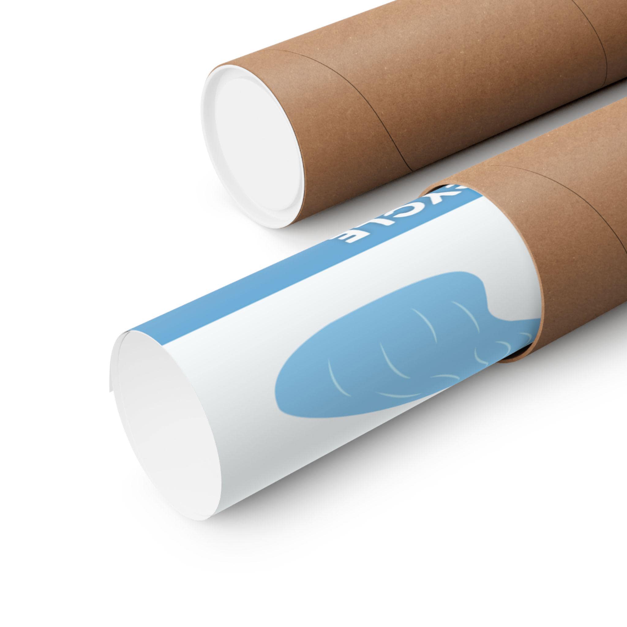 Educational Water Cycle Poster, Science Decor, Classroom Wall Art, Kids ...