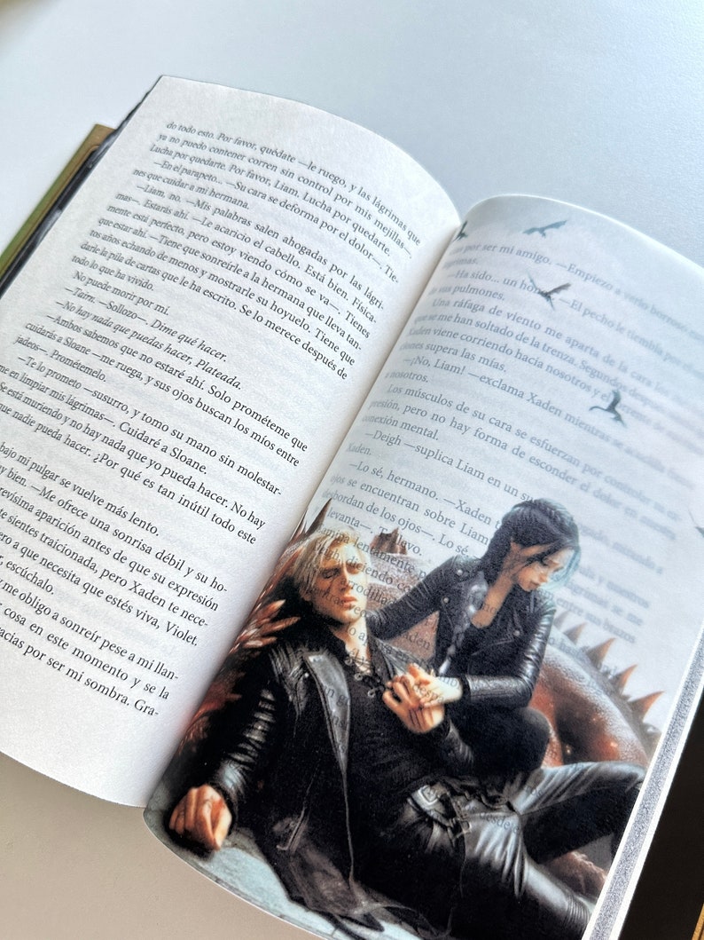 Pack 6 Page Overlays - Fourth Wing English Hardback Edition. - Etsy