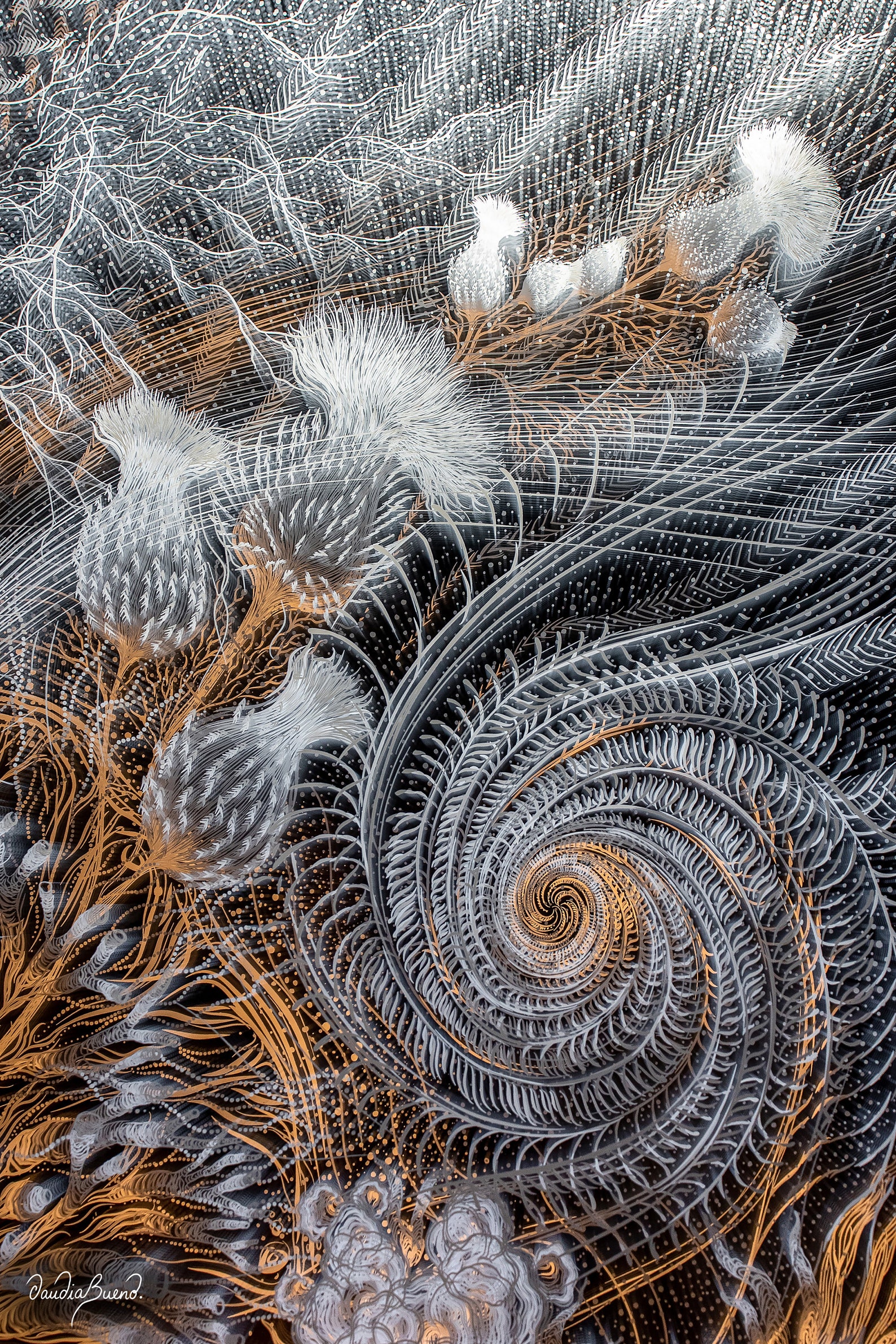 Spiral Print - Etsy