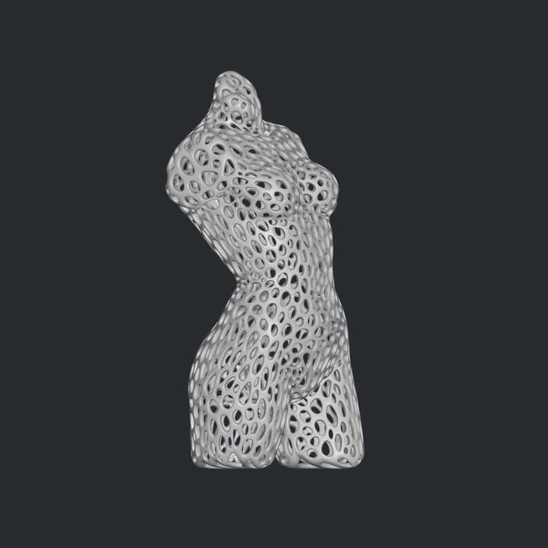 Hollow Woman Torso Stl File 3d Printing, 3d Print File, Miniature ...