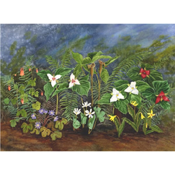 Native Artist Wall Art - Etsy